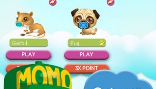 Juega Momio, termina las tareas y gana premios😃