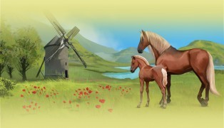 Play Howrse, finish quests and get rewards😻